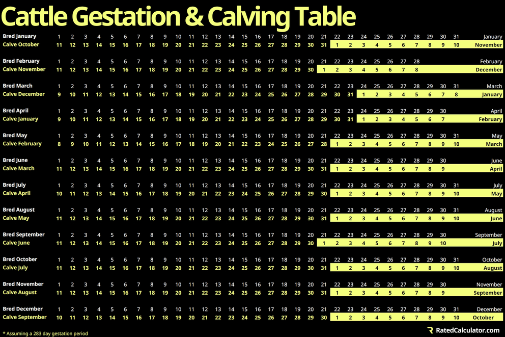 Cow Gestation Calculator & Chart | Calculate Bovine Pregnancy Due Date