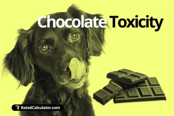 Dog Chocolate Toxicity Calculator | Has your dog eaten a dangerous ...