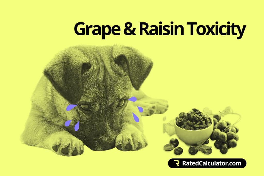 Dog Raisin & Grape Toxicity Calculator | Has your dog eaten an unsafe ...